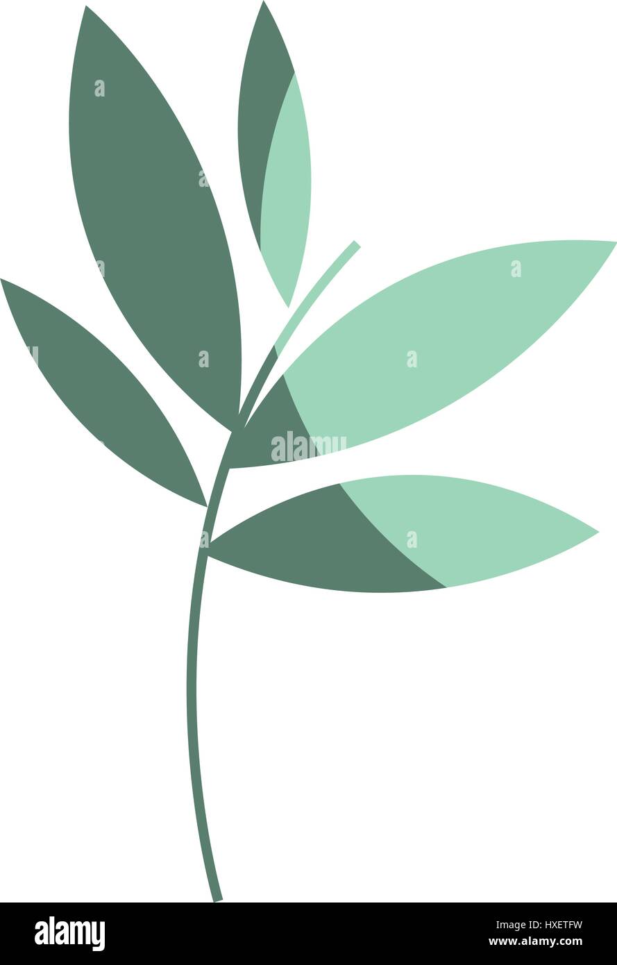 Round image plants Cut Out Stock Images & Pictures - Alamy