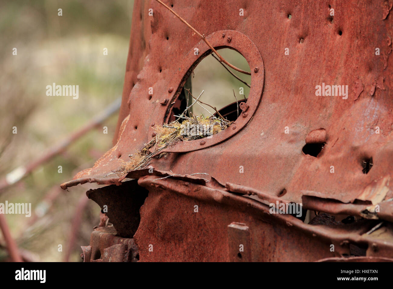 Leechtown hi-res stock photography and images - Alamy