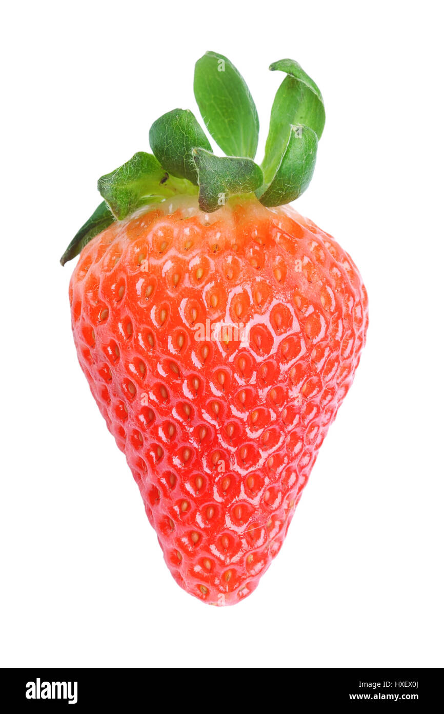 Single fresh red strawberry isolated on white background Stock Photo ...