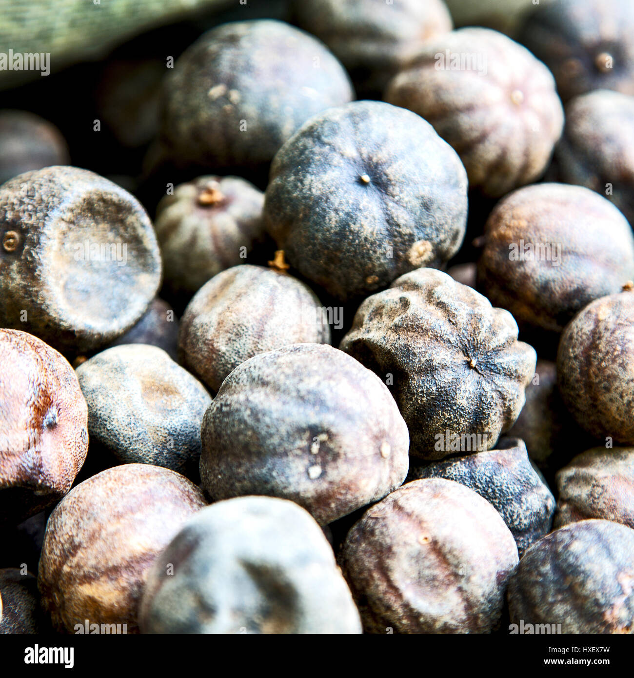 in iran blur typical dry lemon in abstract pattern background flavor ...