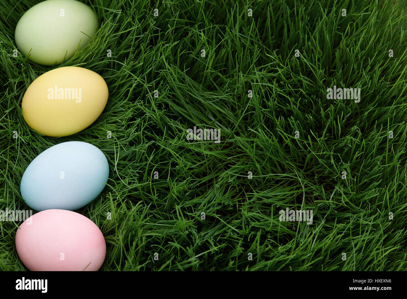 Easter eggs in grass Stock Photo - Alamy