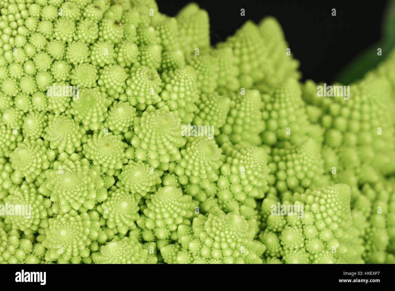 Romanescu hi-res stock photography and images - Alamy