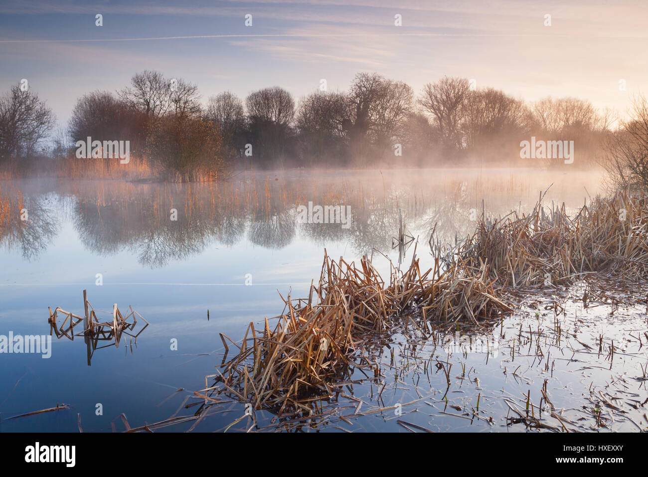 Mist nature hi-res stock photography and images - Alamy
