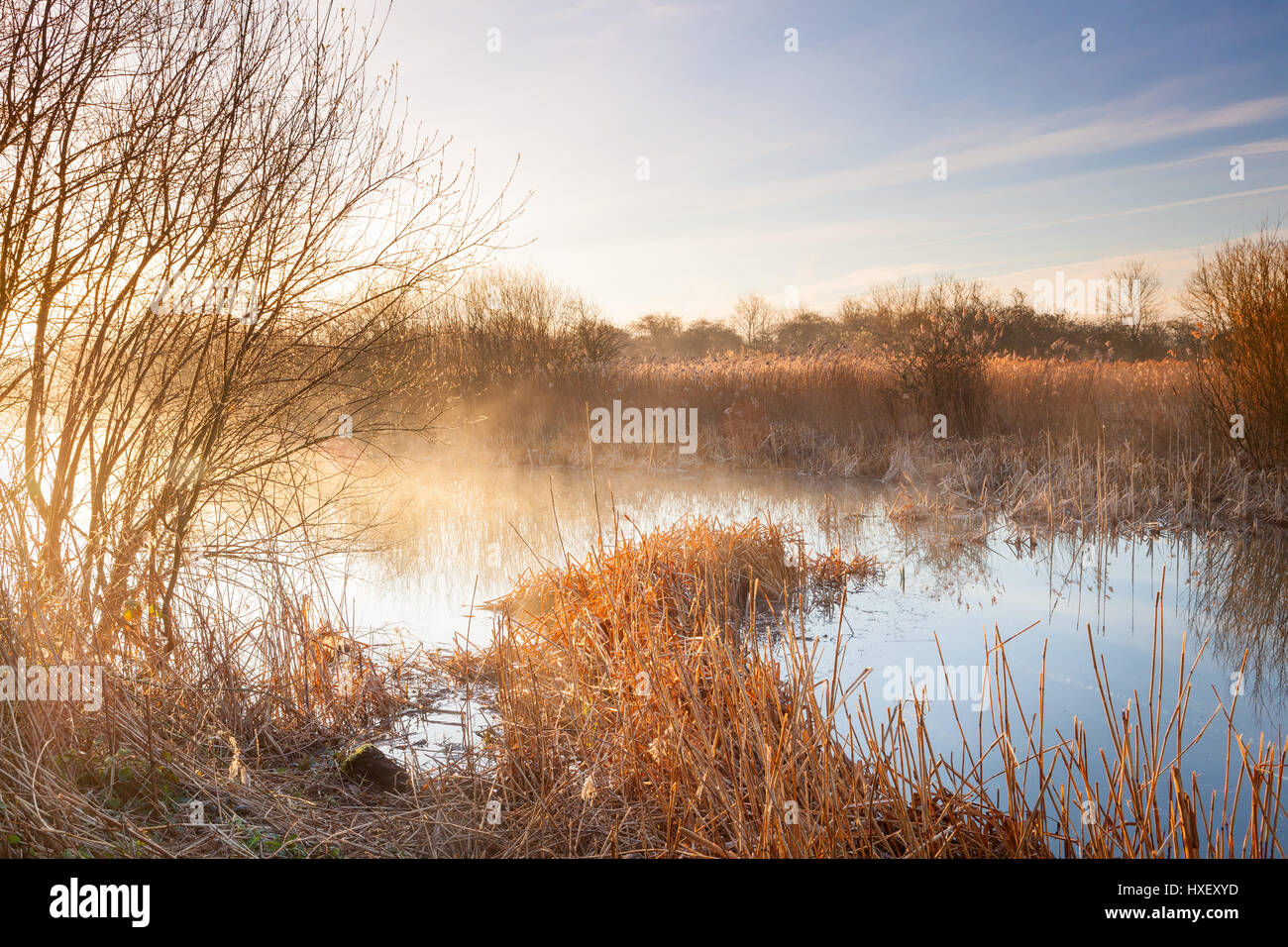 March mist hi-res stock photography and images - Alamy