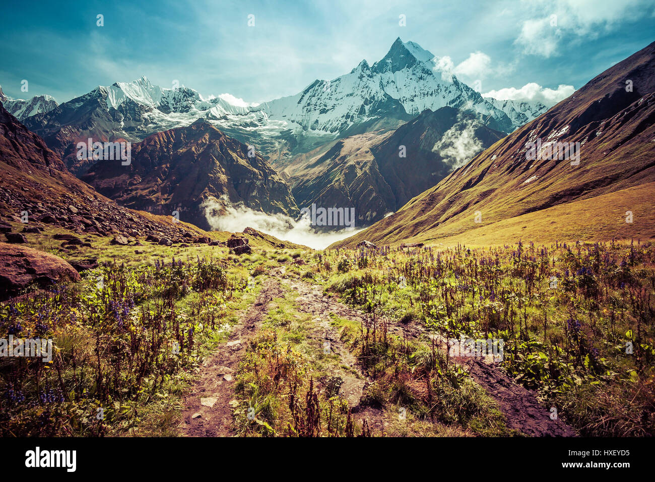 Fishtail machhapuchre mountain hi-res stock photography and images - Alamy