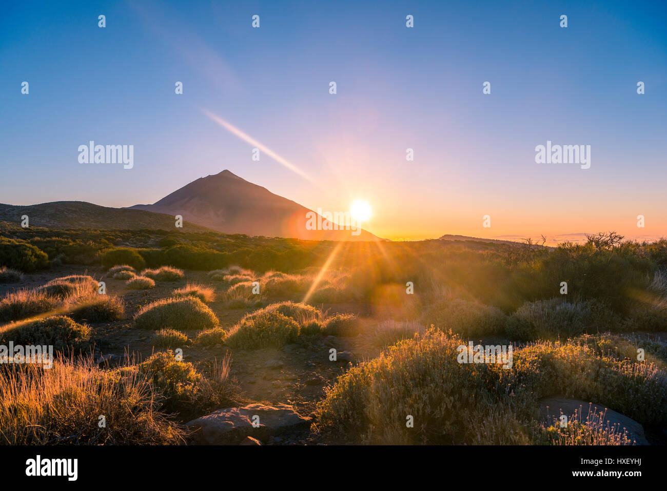 Sunset, Volcano Teide and volcano landscape,backlit scenery, national ...