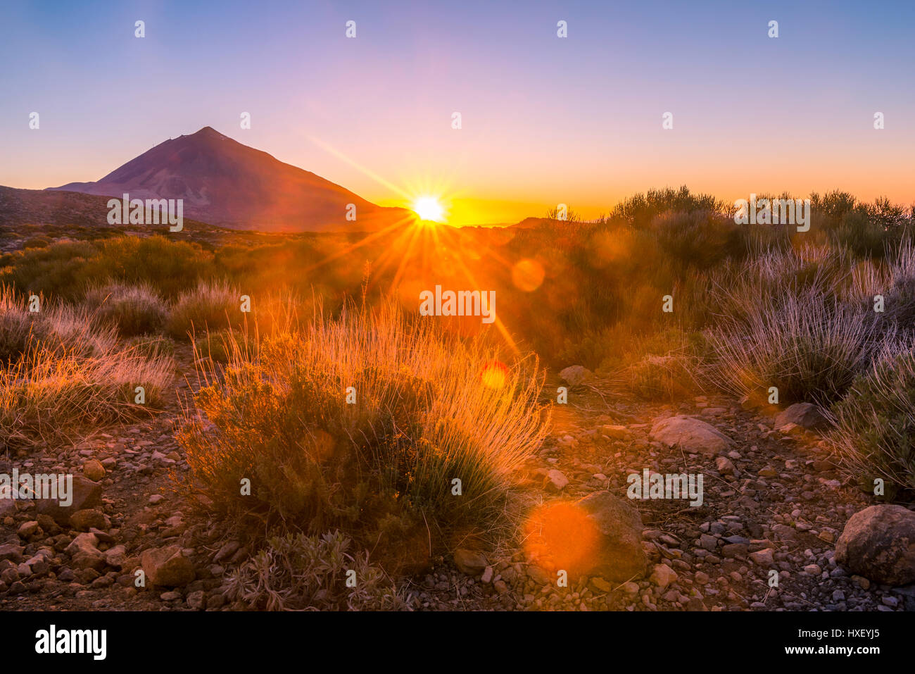 Sunset, Volcano Teide volcano and backlit scenery, national park El ...