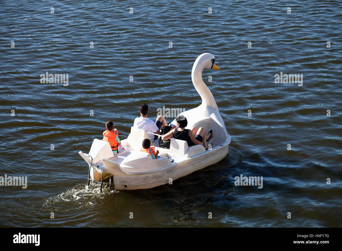 Gail kelly family hi-res stock photography and images - Alamy