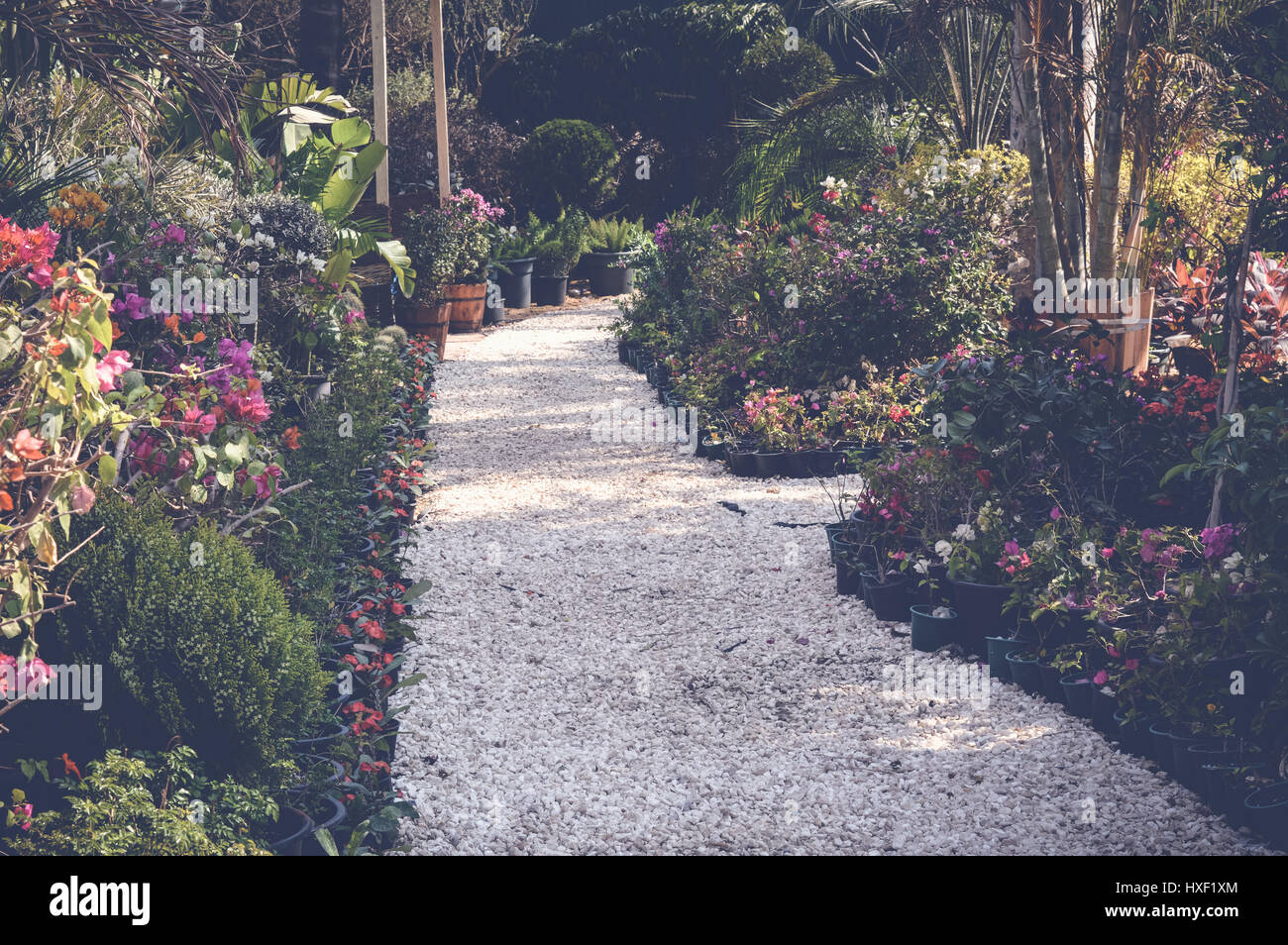 white stones road in a garden Stock Photo - Alamy