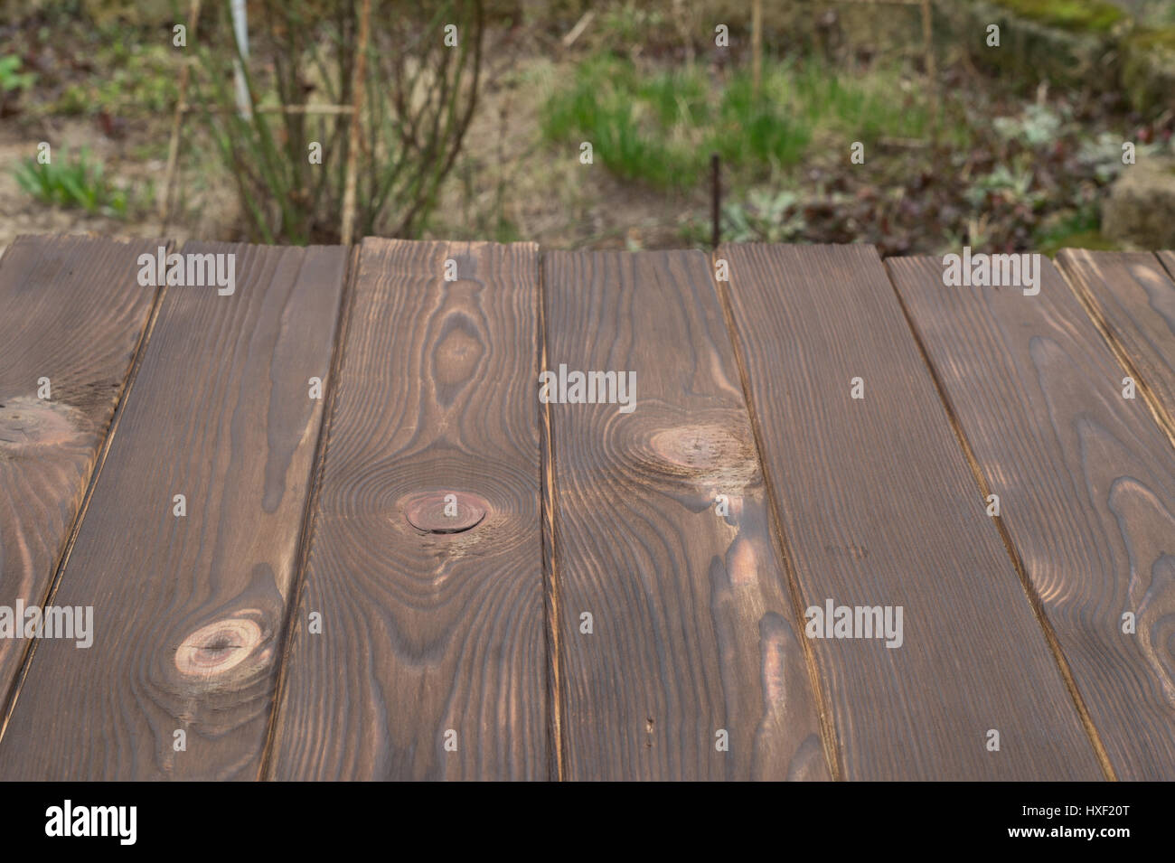 Surface of dark burnt boards against background of nature Stock Photo ...