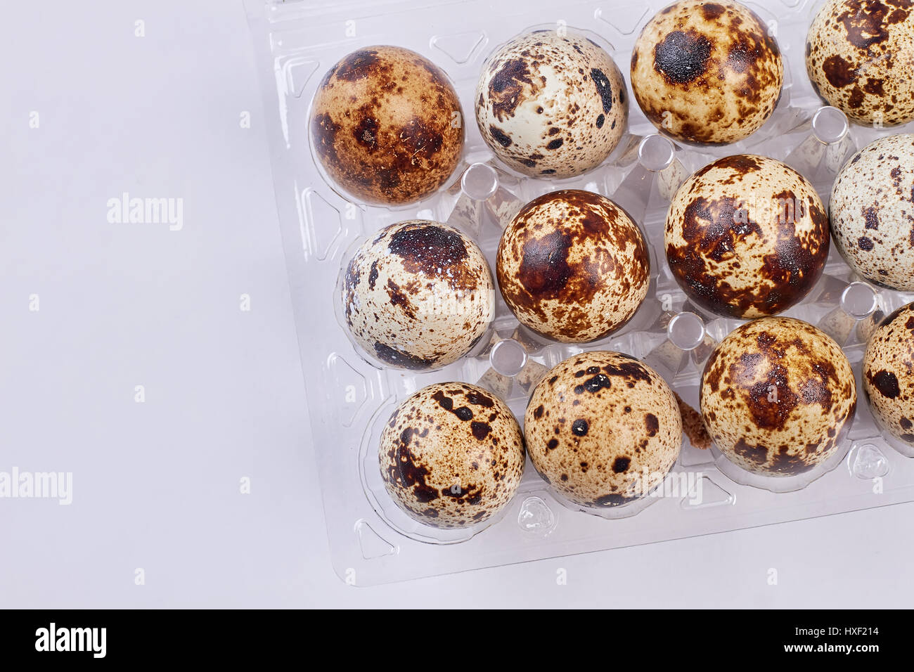 Top view of quail eggs Stock Photo - Alamy