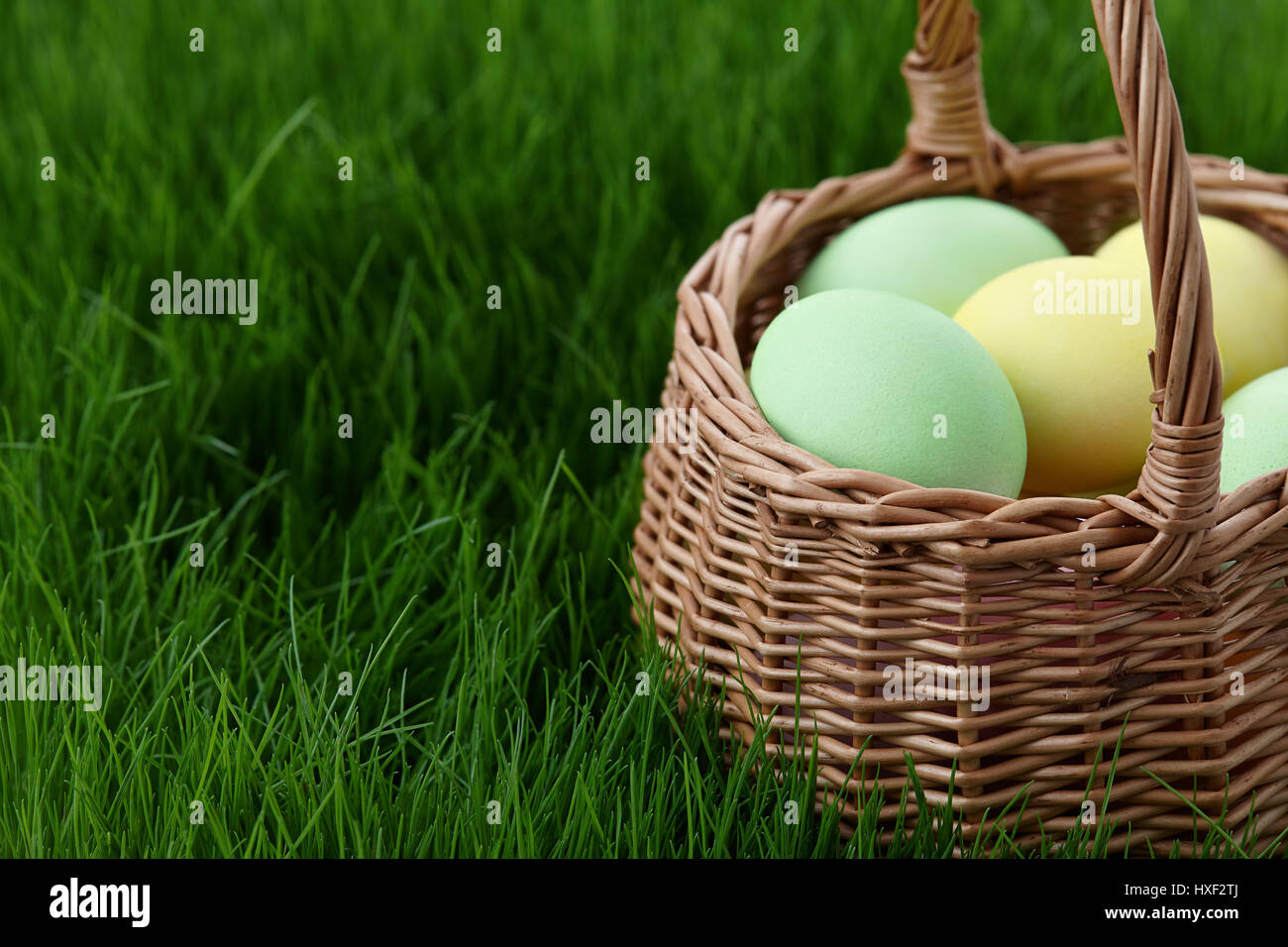 Grass and meadow hi-res stock photography and images - Alamy