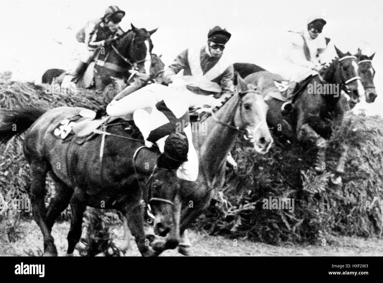 Female jockey jacqui oliver hi-res stock photography and images - Alamy
