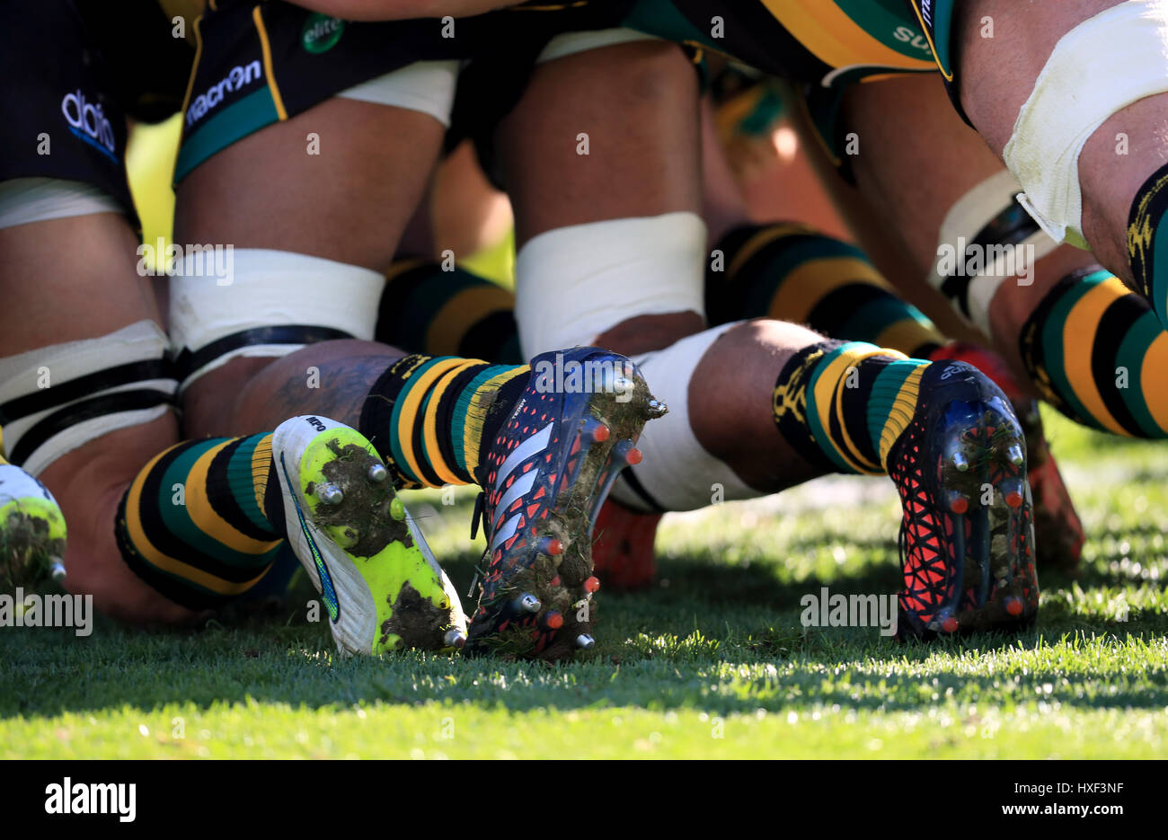 A detail view of Adidas boots and leg strapping on Northampton Saints ...