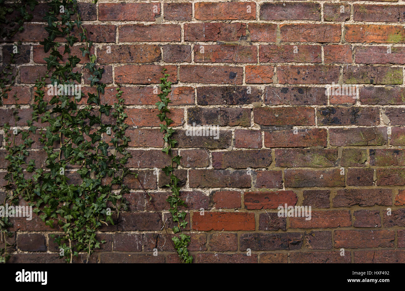brick background perfect background for design industrial Stock Photo ...