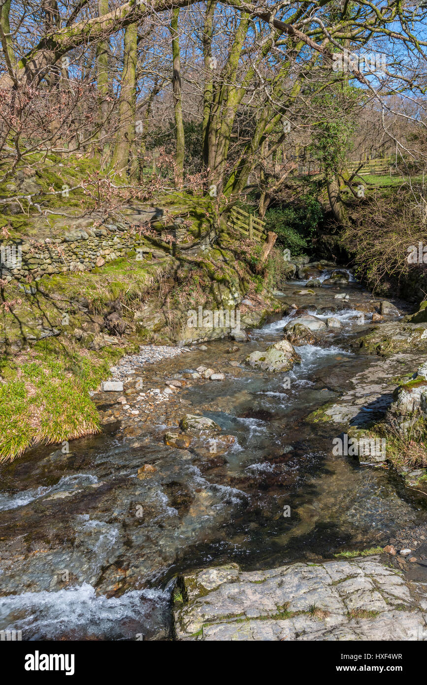 Lakeland beck or stream. Lake district Stock Photo - Alamy