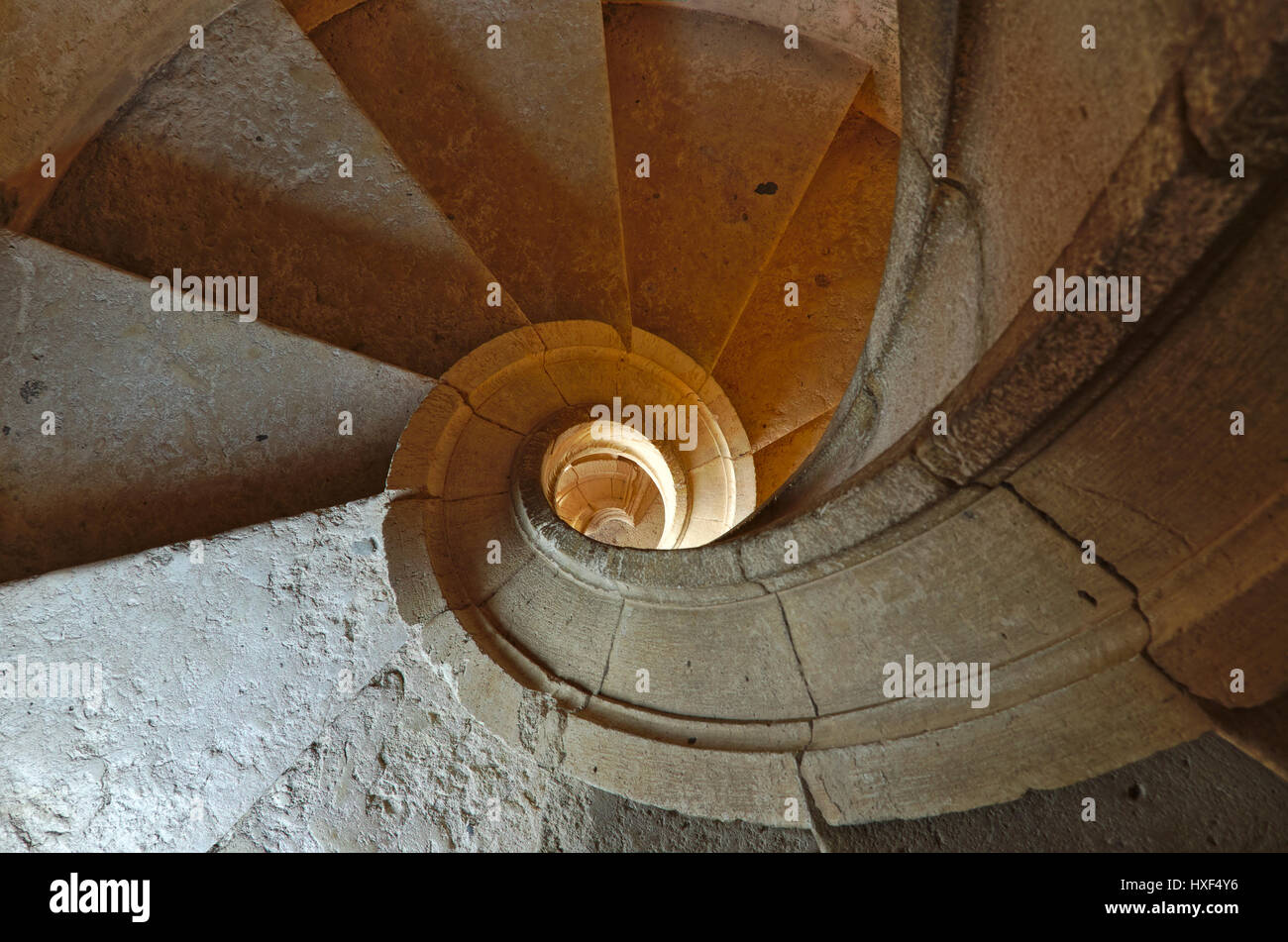 Fibonacci Spirals In Architecture