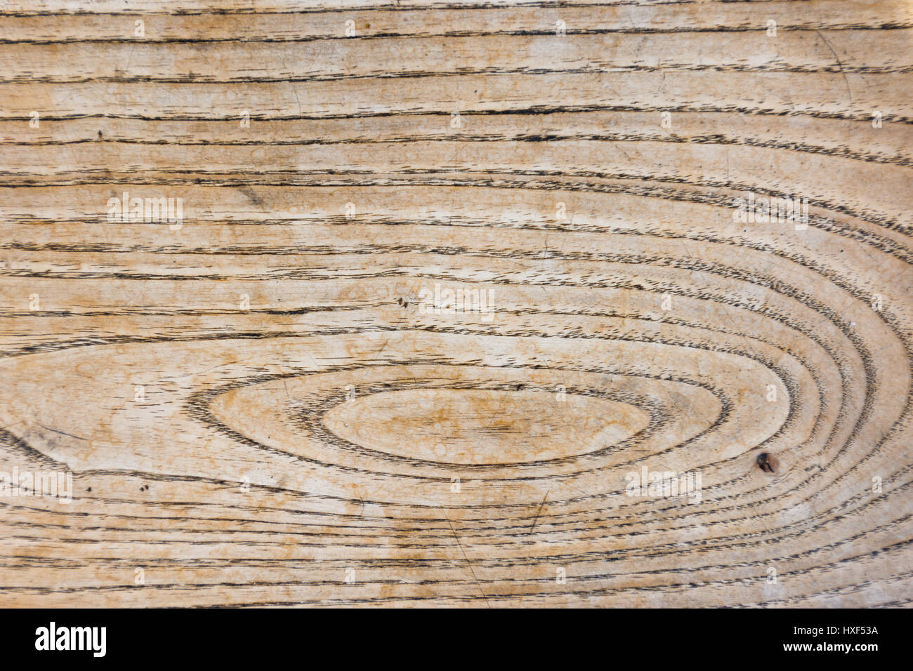 Ash wood texture hi-res stock photography and images - Alamy