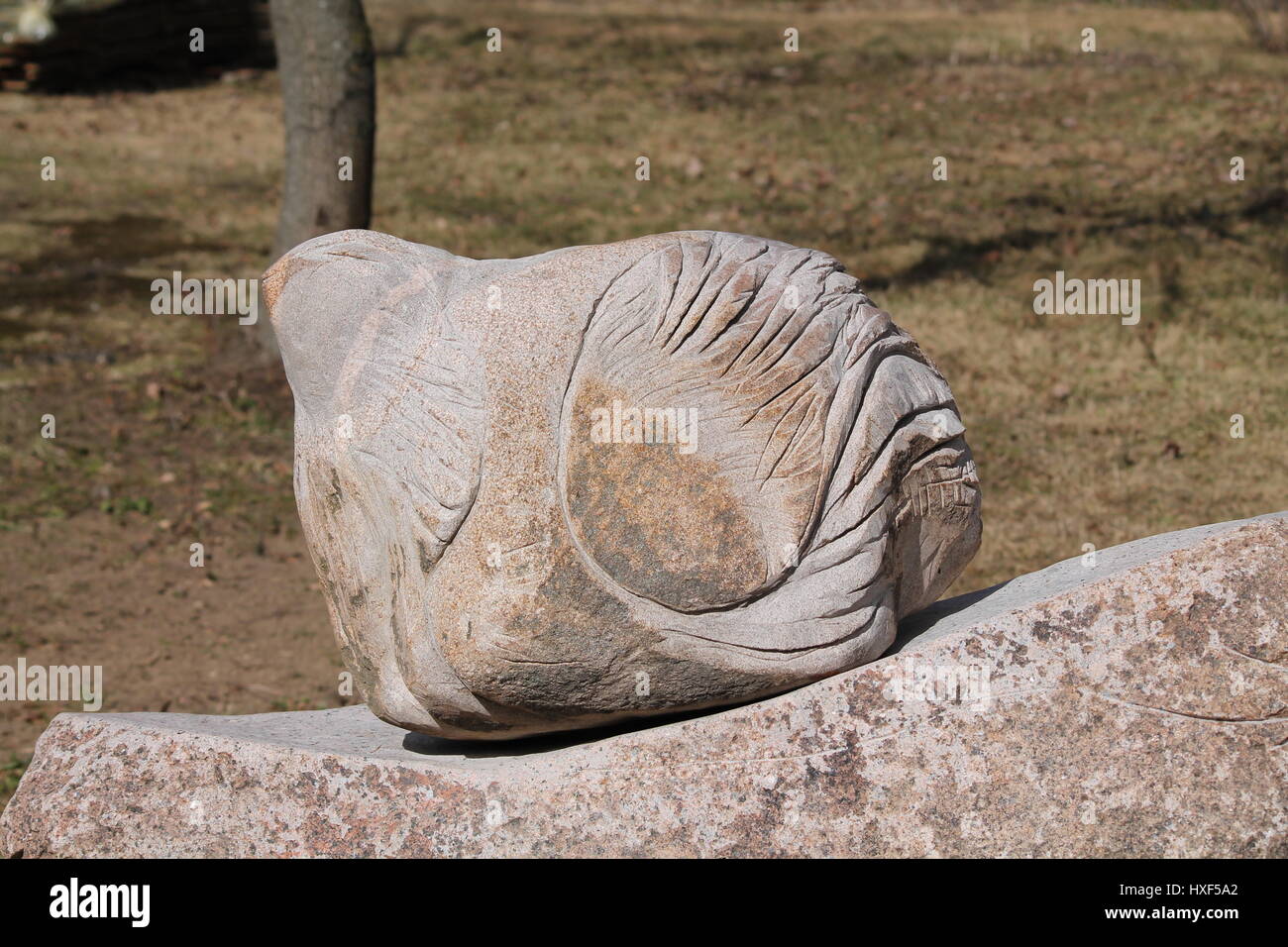 Statue texture hi-res stock photography and images - Alamy
