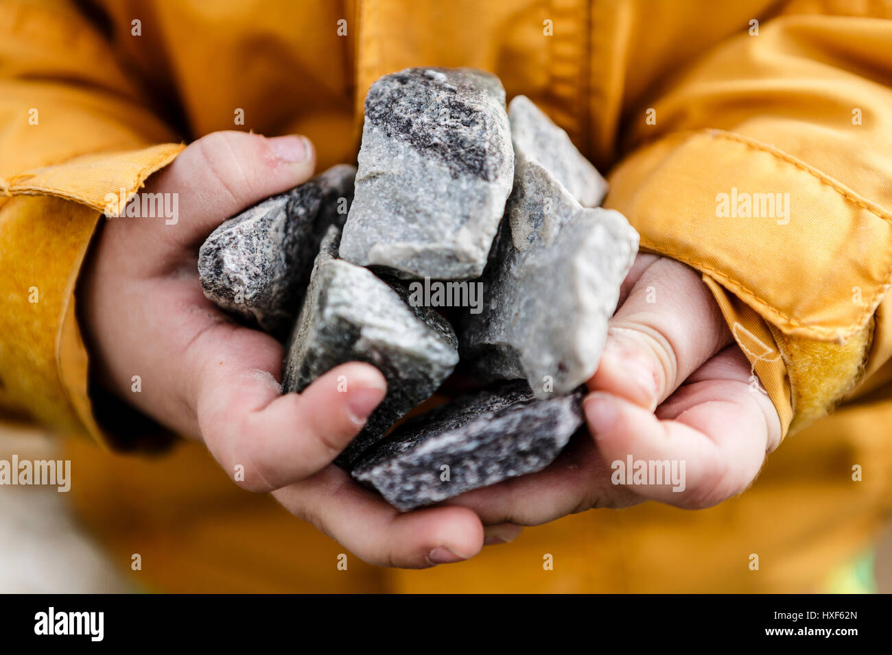 grey stones in cute small child hands, young boy Stock Photo - Alamy