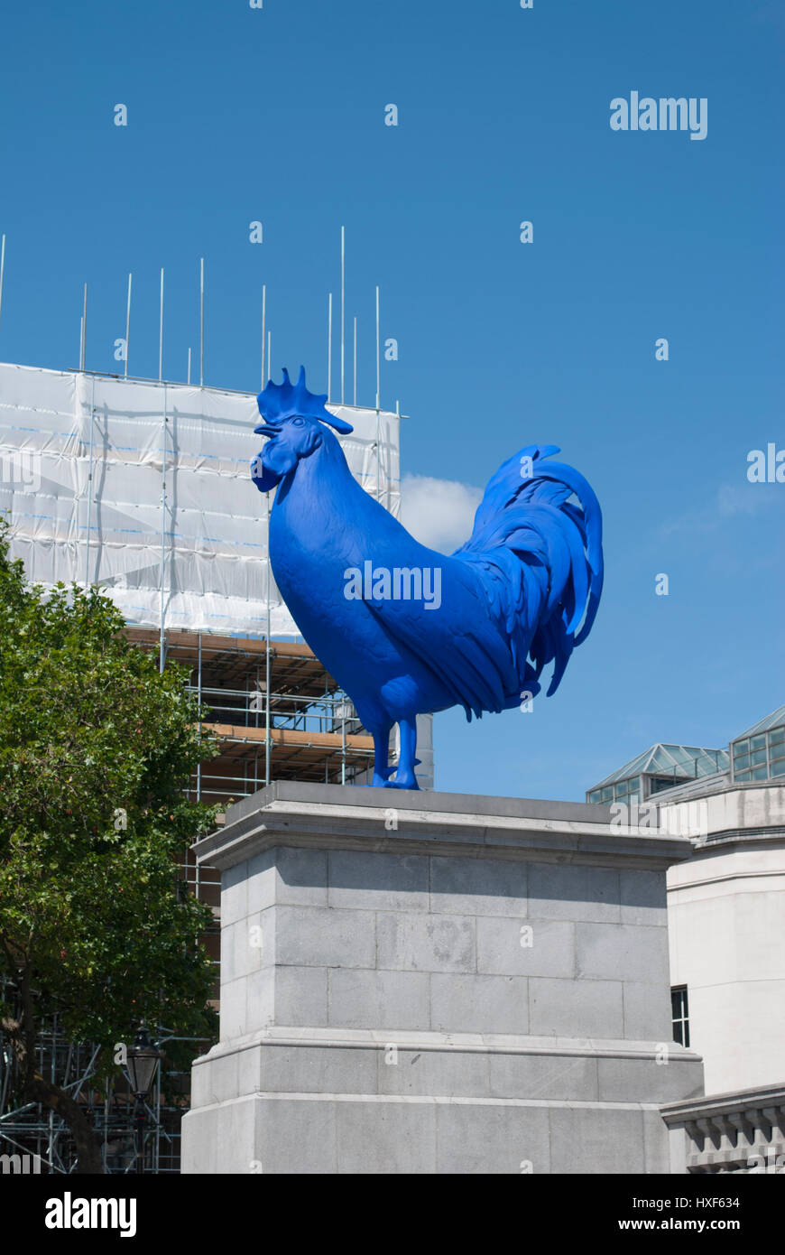Hahn/Cock statue in Trafalgar Square Stock Photo - Alamy