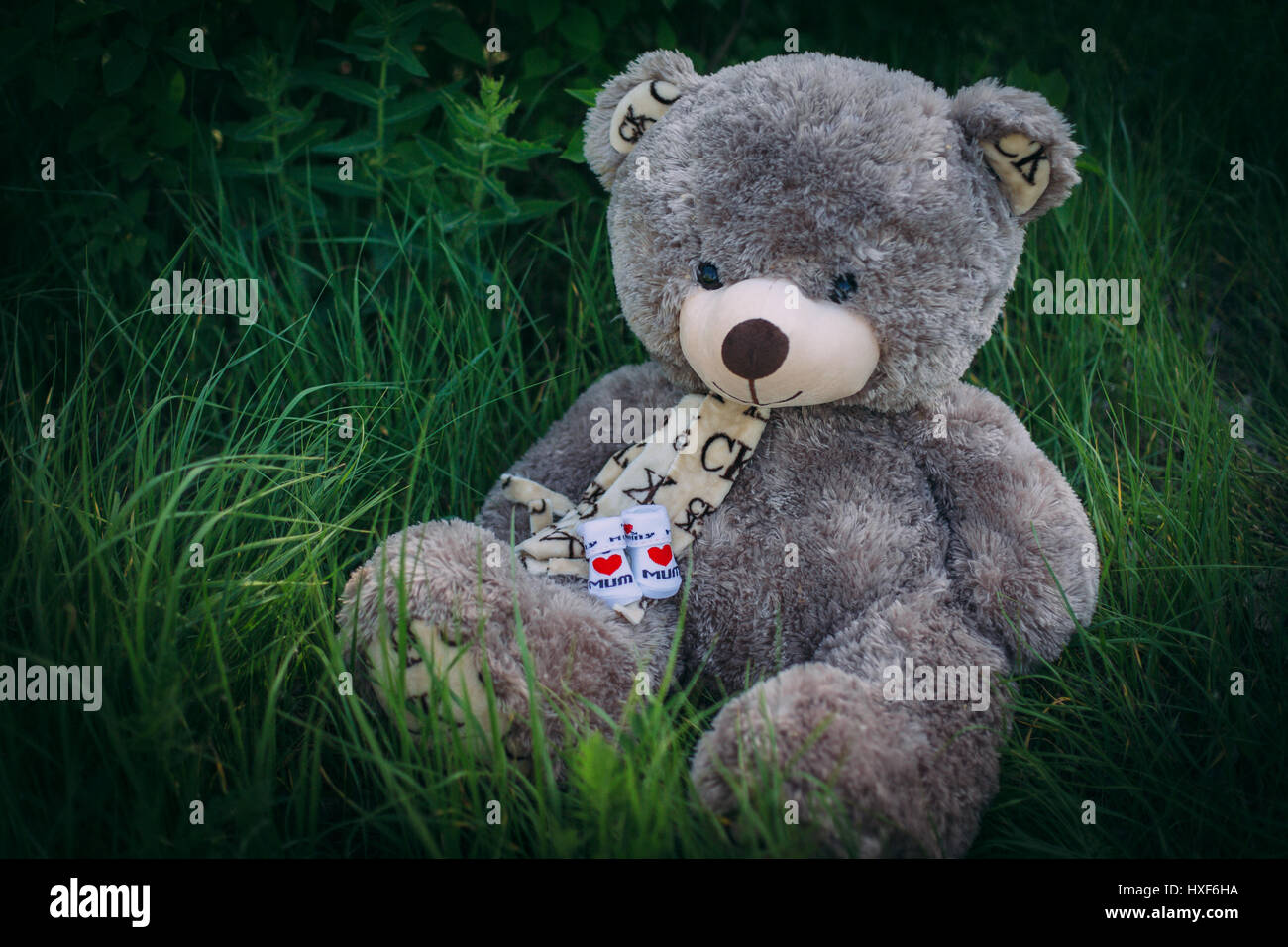 Teddy bear in the grass Stock Photo - Alamy