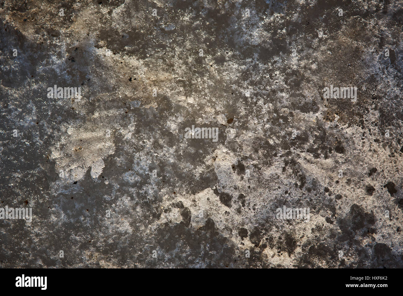 melting spring snow Stock Photo - Alamy