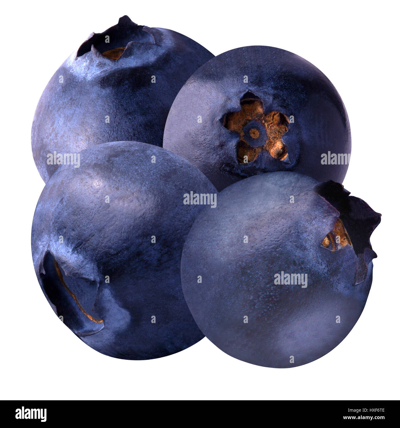 Isolated fruits. Four blueberries isolated on white background as ...
