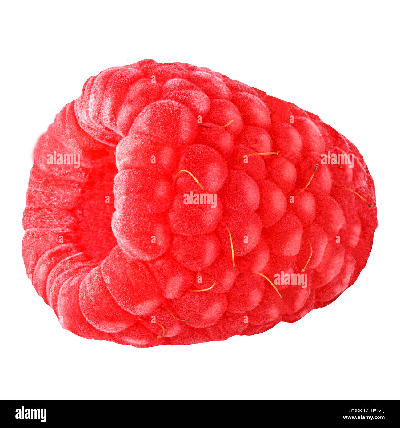 Isolated fruits. One raspberry isolated on white background as package ...