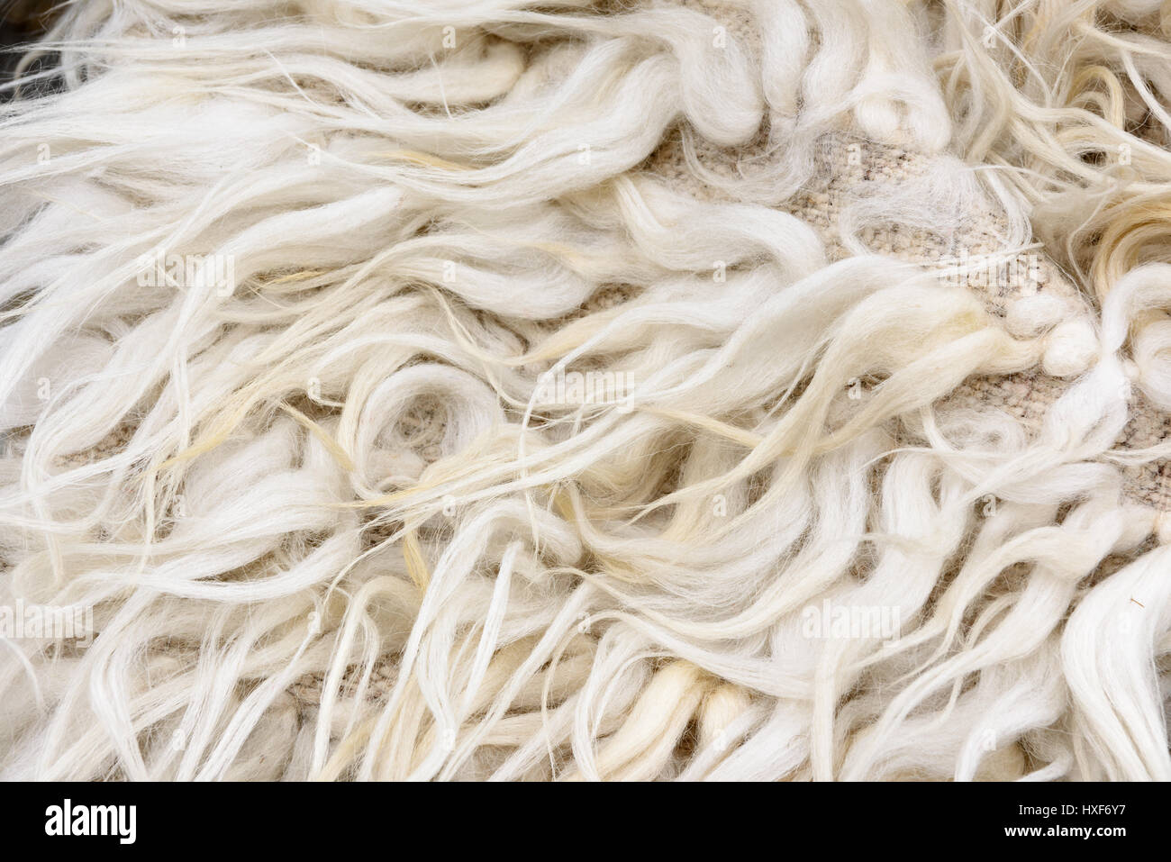 White wool fibers texture Stock Photo - Alamy
