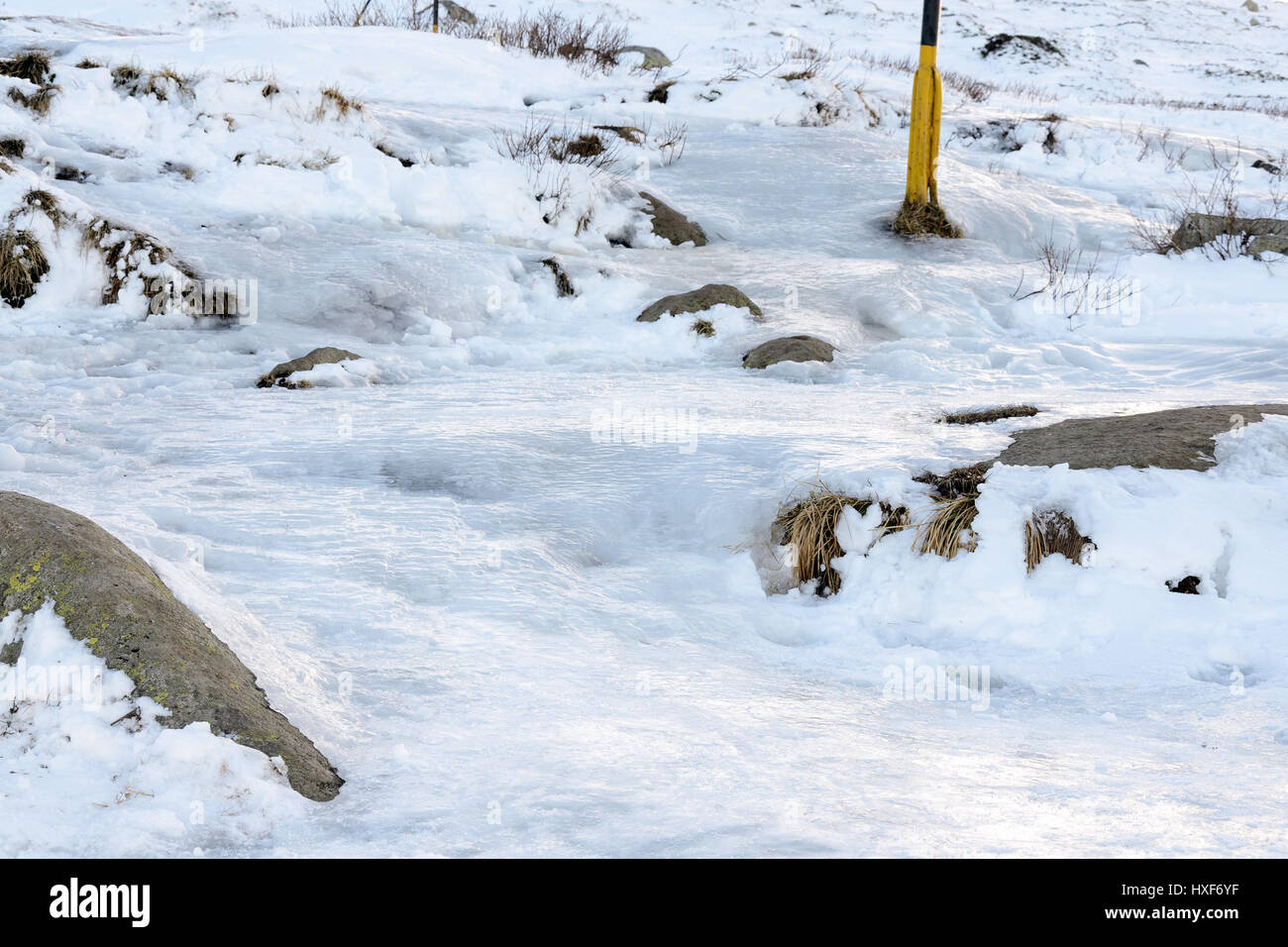 Frost covered path hi-res stock photography and images - Alamy