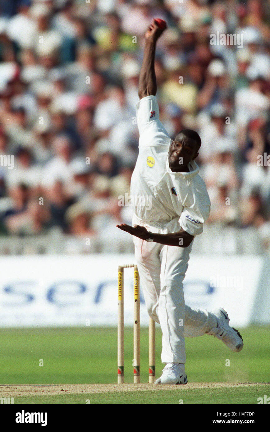 King cricket hi-res stock photography and images - Alamy