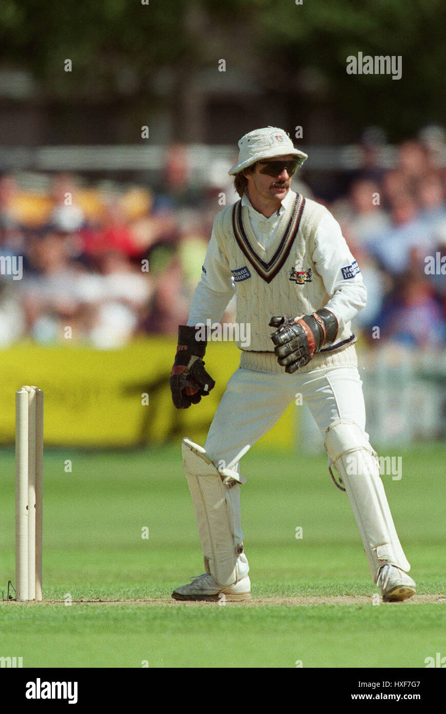 Jack russell cricket hi-res stock photography and images - Alamy