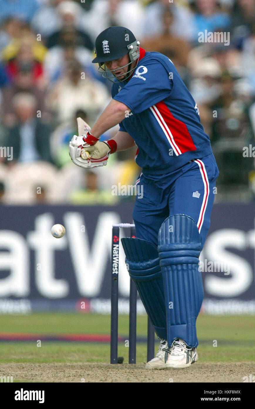Cricket anthony mcgrath hi-res stock photography and images - Alamy