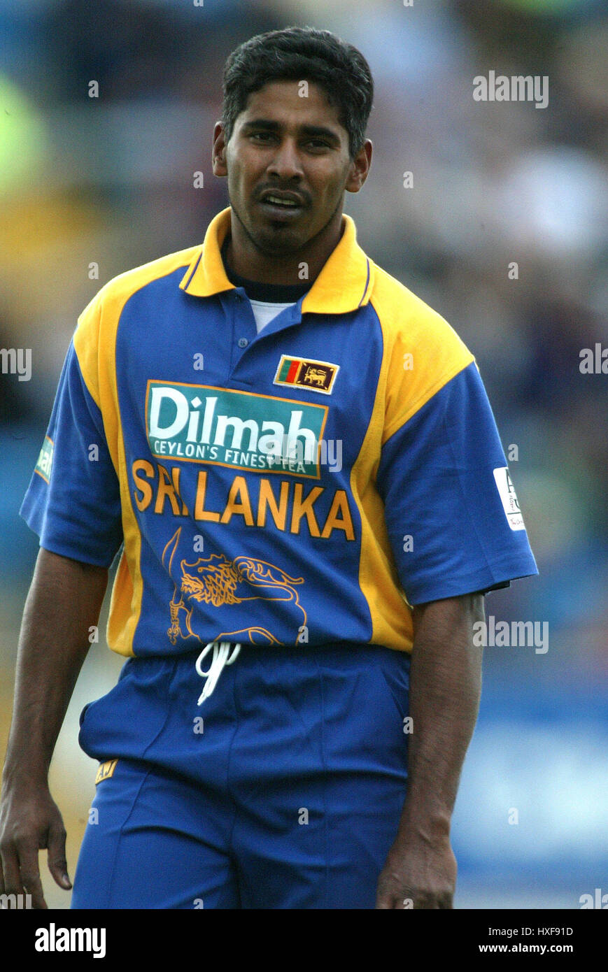 Cricket chaminda vaas hi-res stock photography and images - Alamy