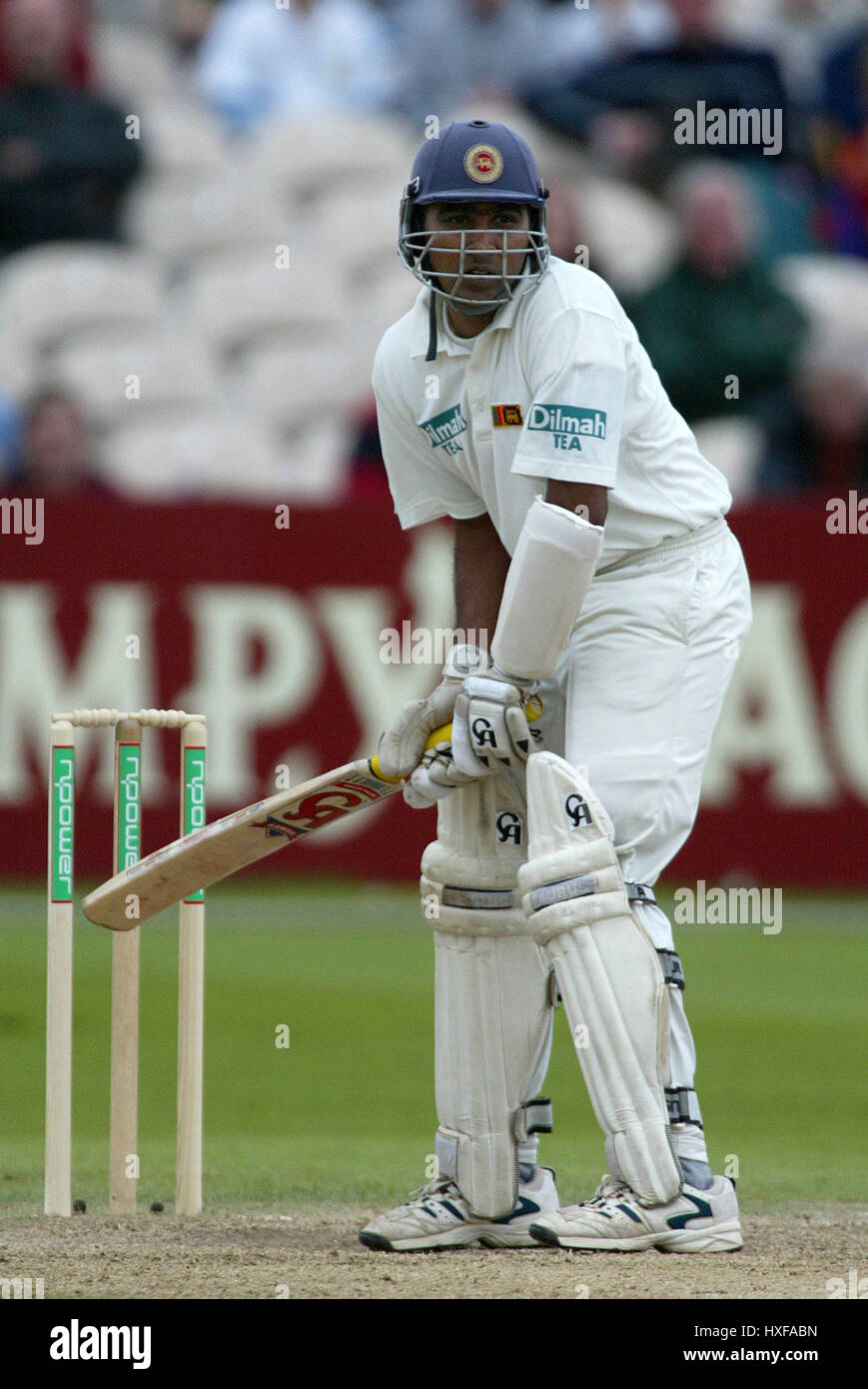 MAHELA JAYAWARDENE SRI LANKA 15 June 2002 Stock Photo - Alamy MAHELA JAYAWARDENE SRI LANKA 15 June 2002 Stock Photo - Alamy