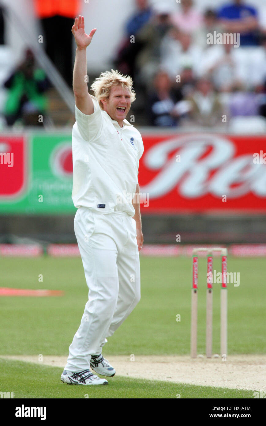 Cricket celebrating matthew hoggard hi-res stock photography and images ...