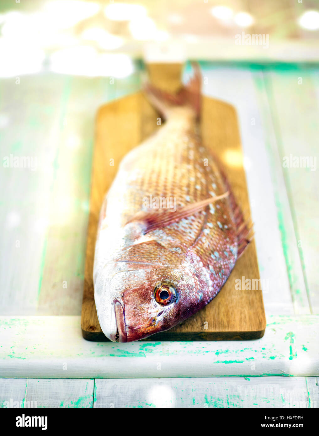 Fresh red snapper fish on chopping board ready for filleting Stock ...