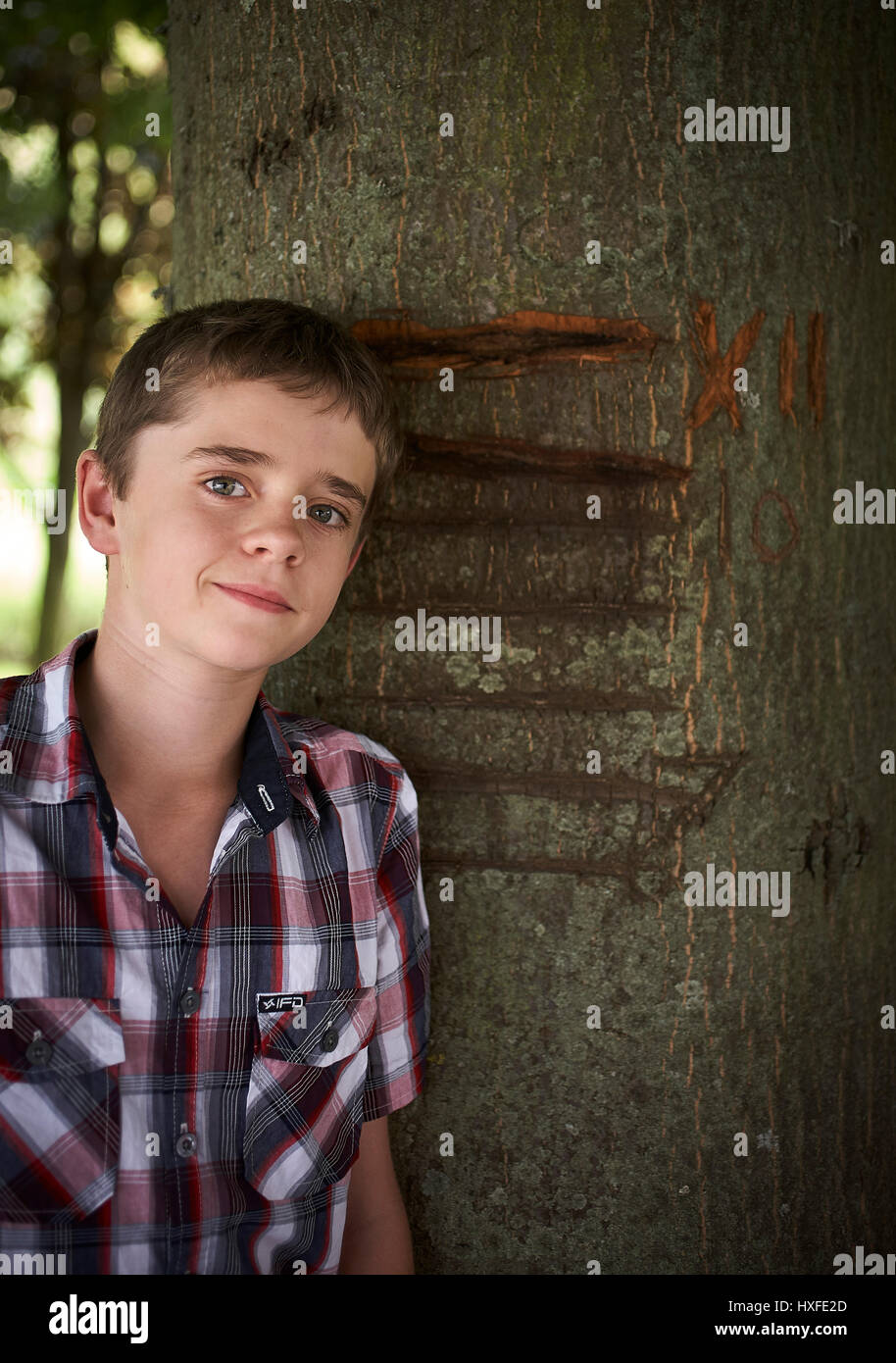 Human family tree chart hi-res stock photography and images - Alamy