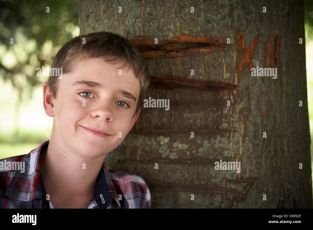 Family tree chart hi-res stock photography and images - Alamy