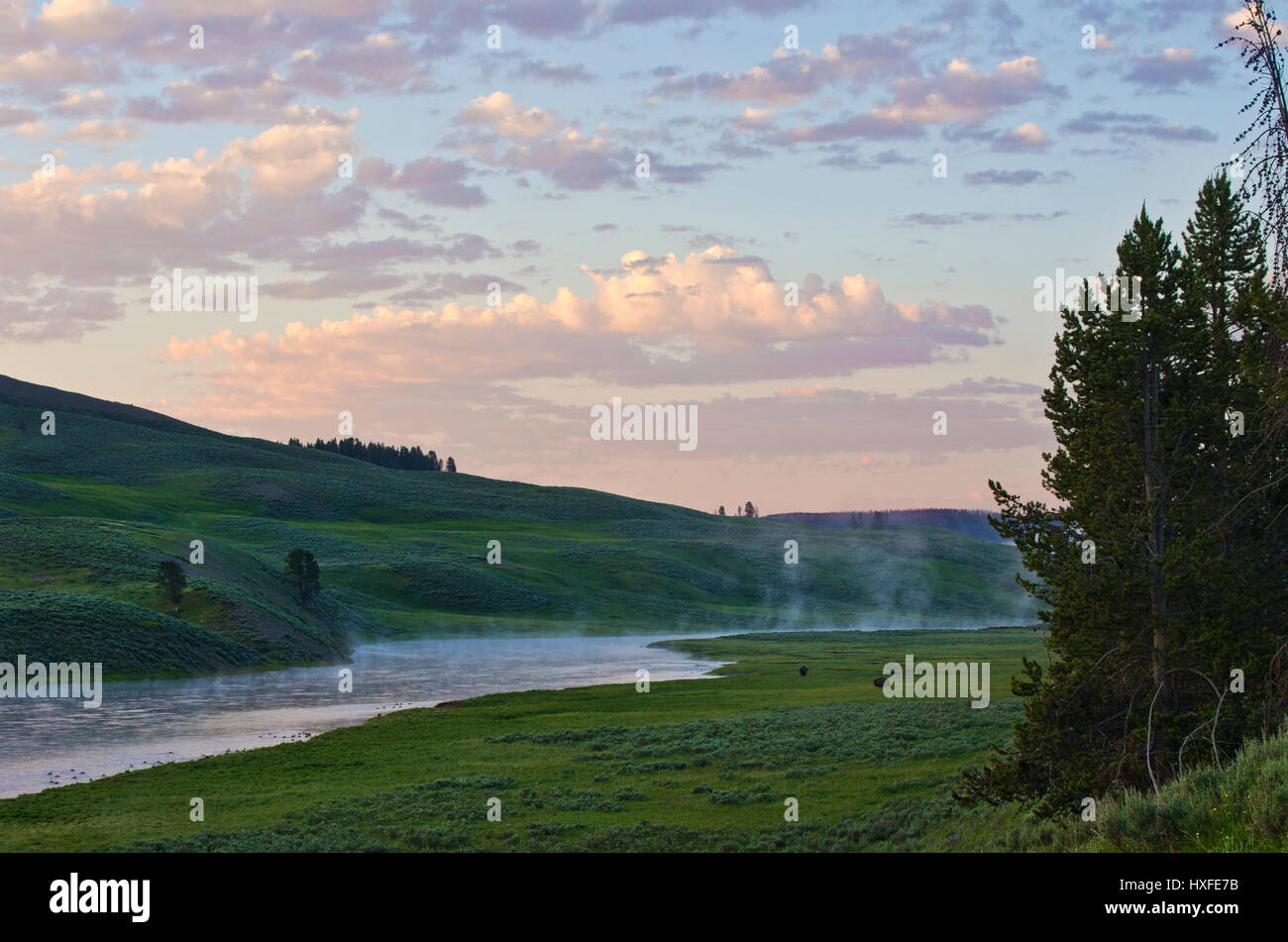 Beautiful river in yellowstone park hi-res stock photography and images ...