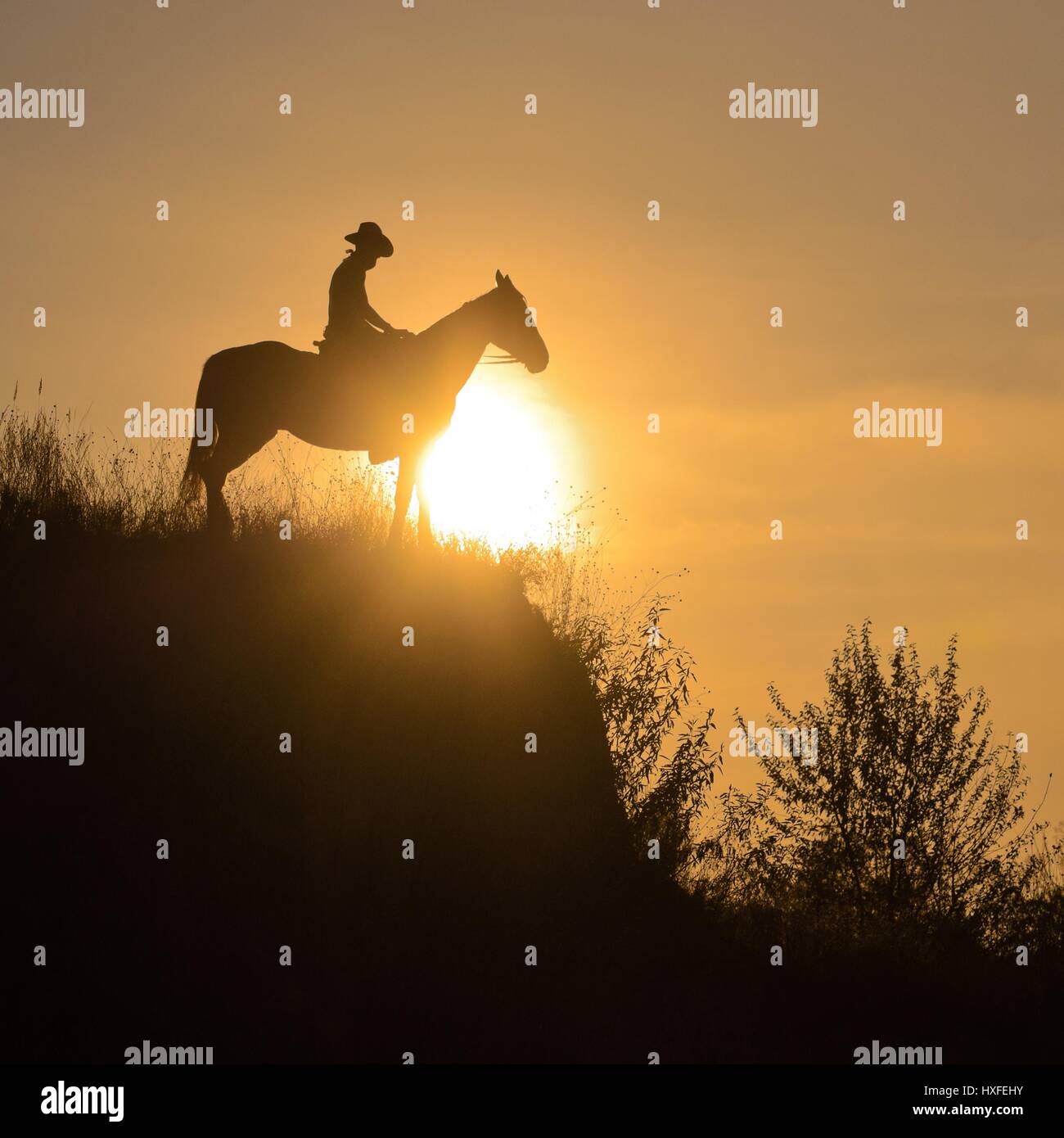Cowboy horse cliff hi-res stock photography and images - Alamy