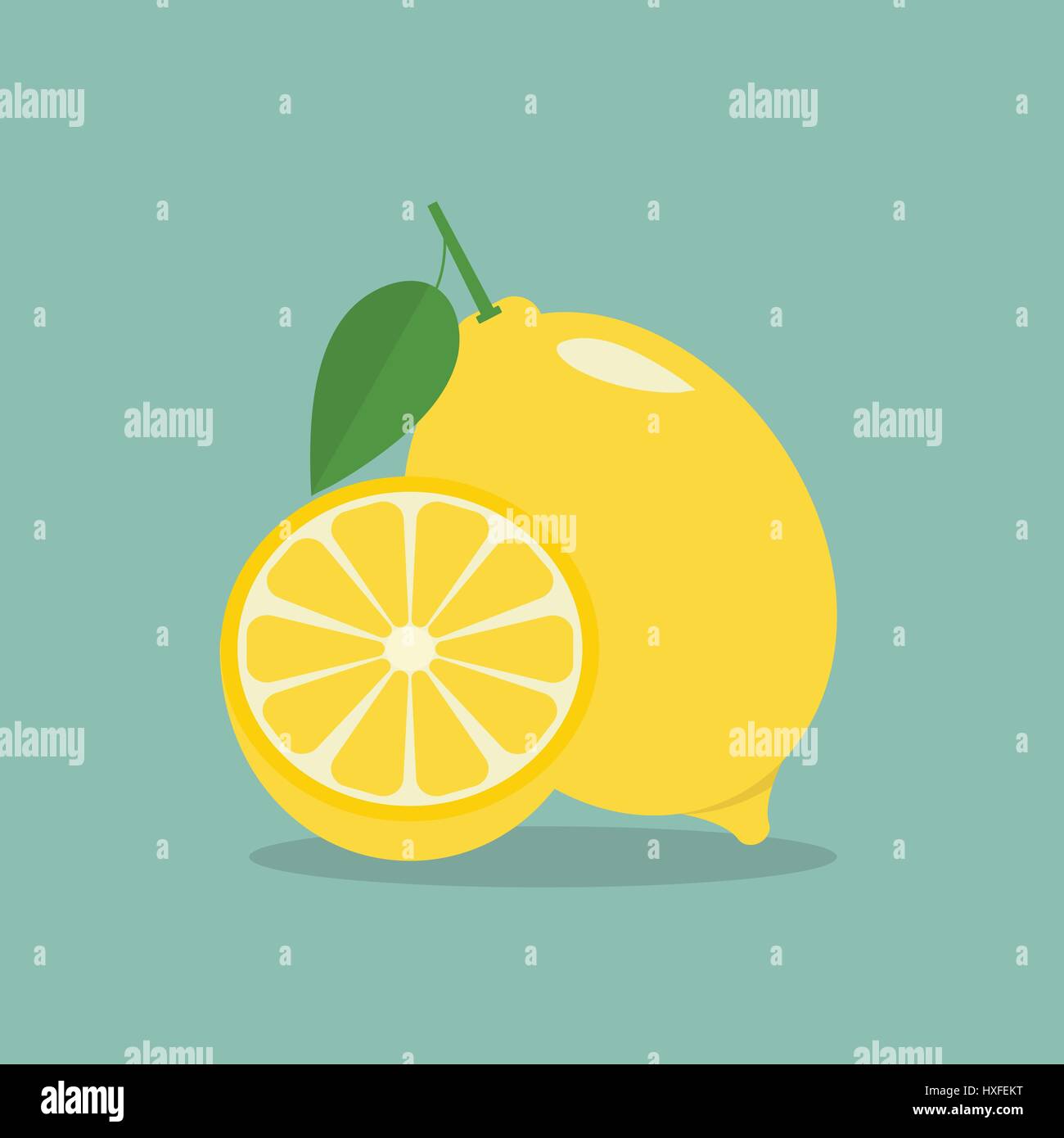 Fresh lemon sliced section Stock Vector Images - Alamy