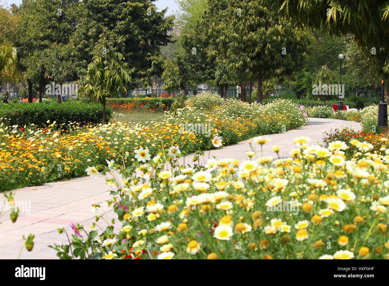 Swarn jayanti park hi-res stock photography and images - Alamy