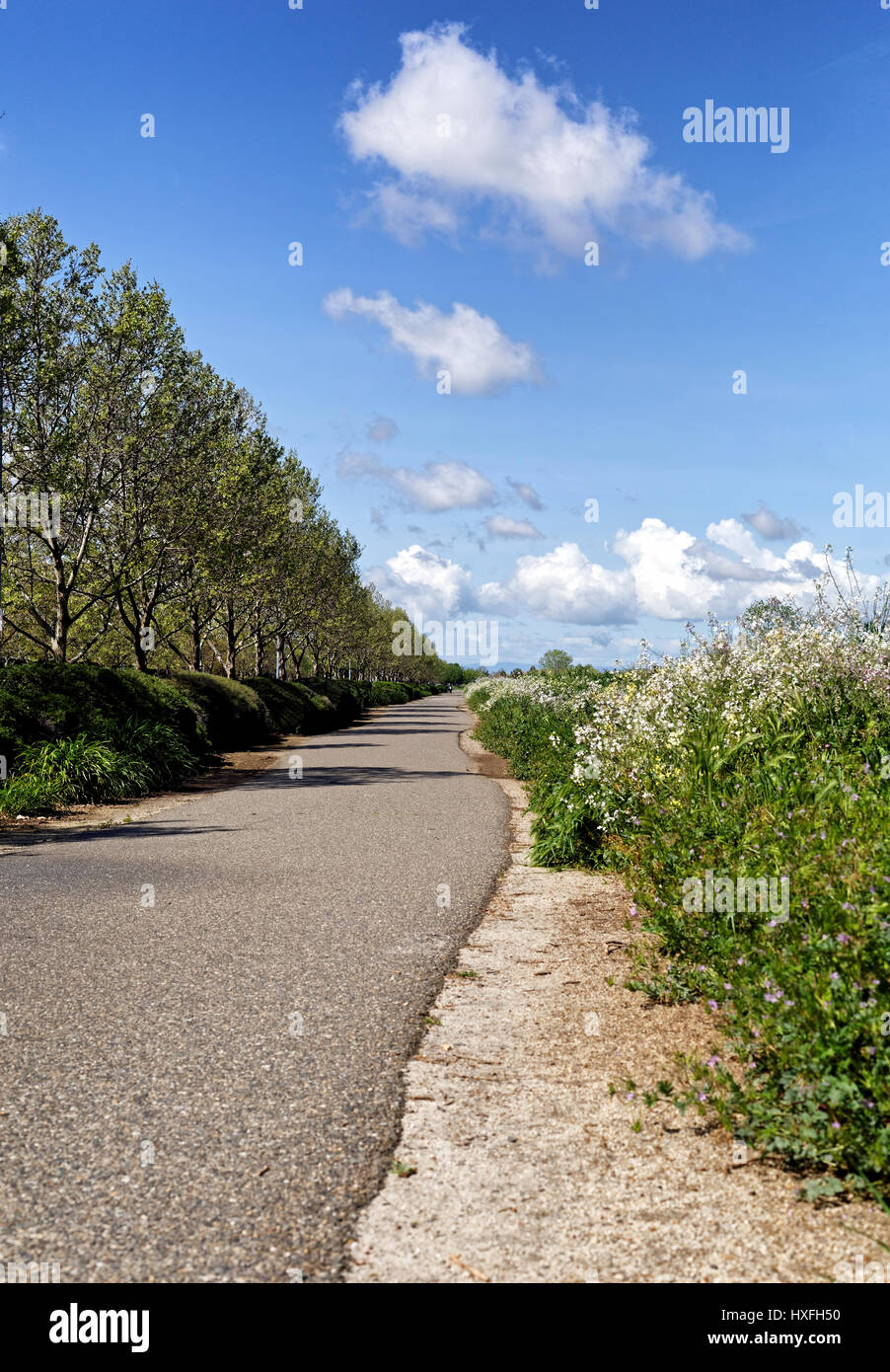 Property path in spring hi-res stock photography and images - Alamy