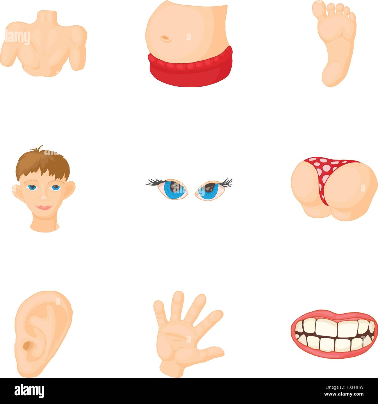 Anatomy of human buttocks Stock Vector Images - Alamy