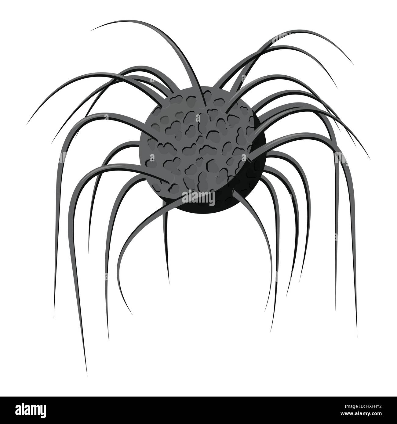 Bacteria cell icon, gray monochrome style Stock Vector Image & Art - Alamy