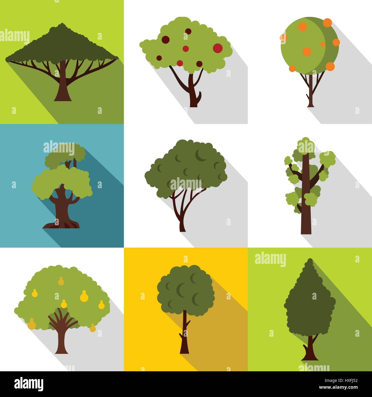 Baobab tree shadow Stock Vector Images - Alamy