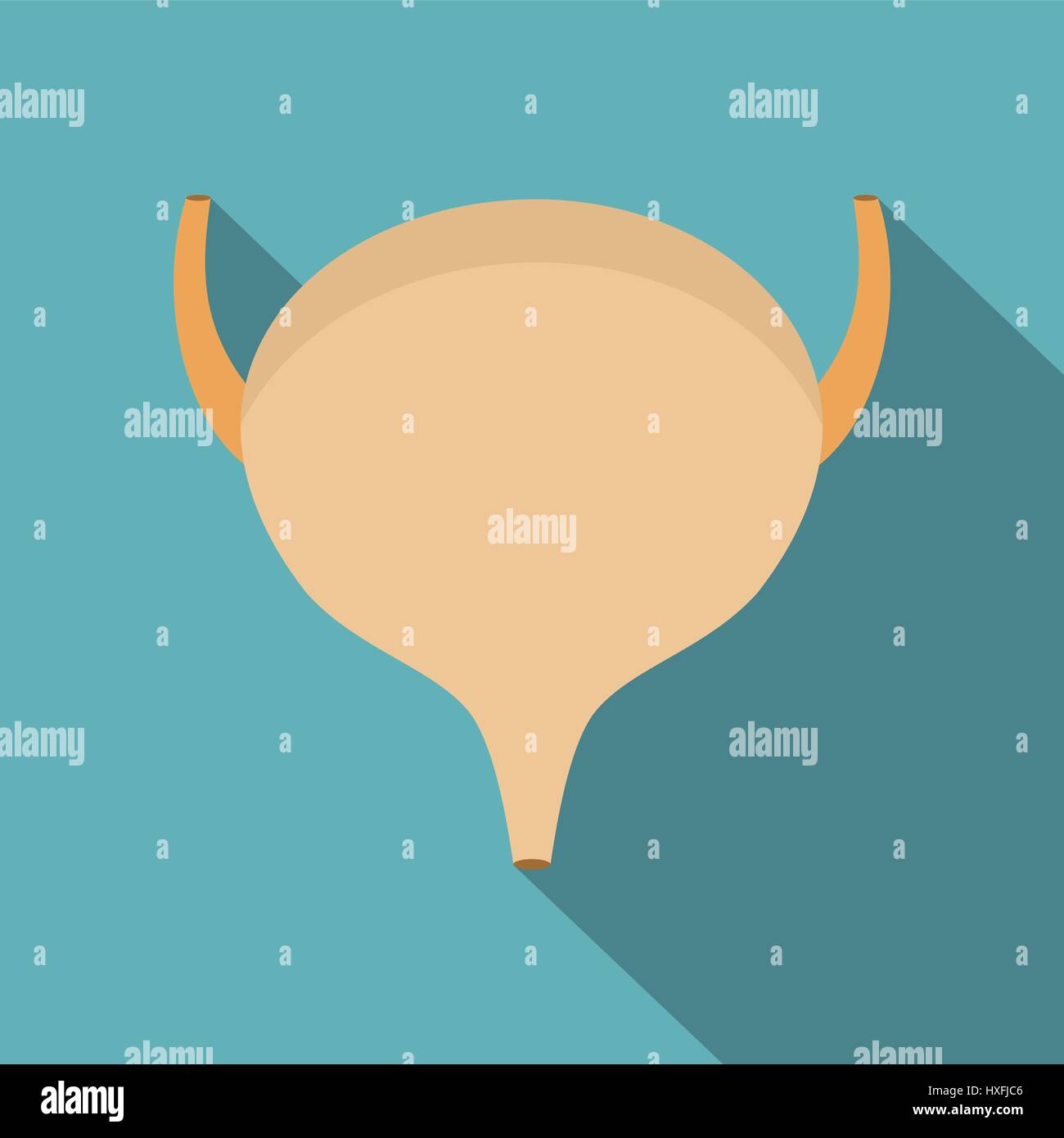 Bladder icon, flat style Stock Vector Image & Art - Alamy