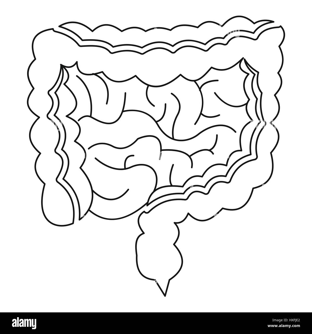 Anatomy of the large intestines Black and White Stock Photos & Images ...
